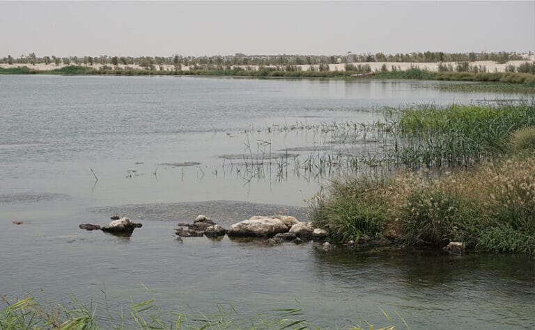 Irrigation Systems in Qatar - Nakheel Landscapes